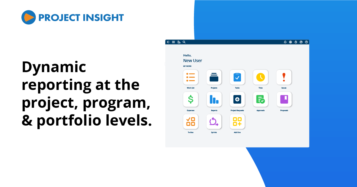Custom Fields Project Insight Features
