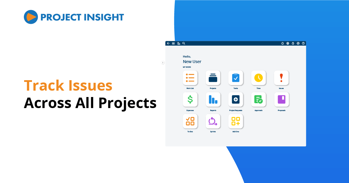 Issue Tracking Tutorial Videos | Project Insight Tutorials